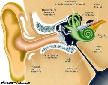 es blog educativo: el sentido del oido