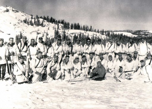 Four Bees: 10th Mountain Division, US Army, WW2
