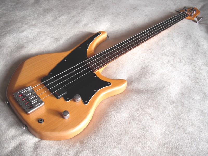 Flat Eric s Bass Guitar Collection Status Shark flat-eric-s-bass-guitar-collection-status-shark