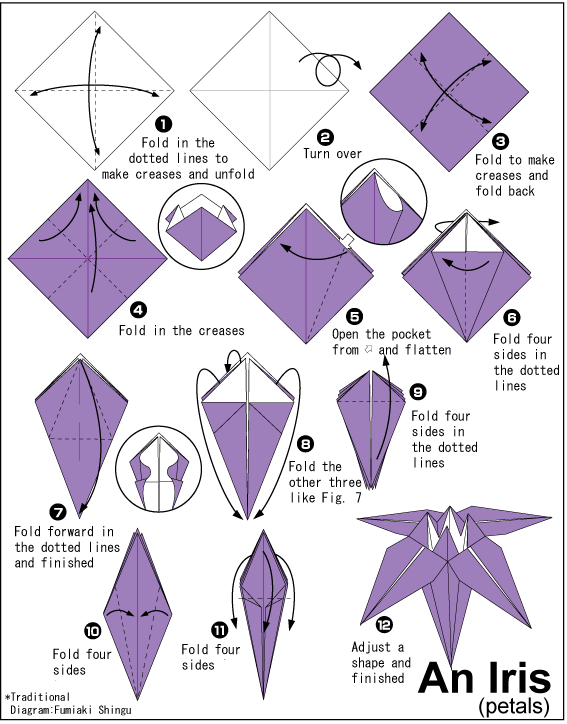 Scribbles Origami Different Types scribbles-origami-different-types