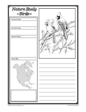 Resources for Birding with Children