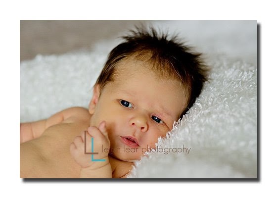 Why Is All My Hair Turning Gray A Sneak Peek For My Niece why-is-all-my-hair-turning-gray-a-sneak-peek-for-my-niece