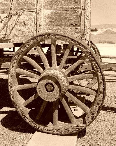 Looking For Beauty Daily Wagon Wheel Lyrics looking-for-beauty-daily-wagon-wheel-lyrics
