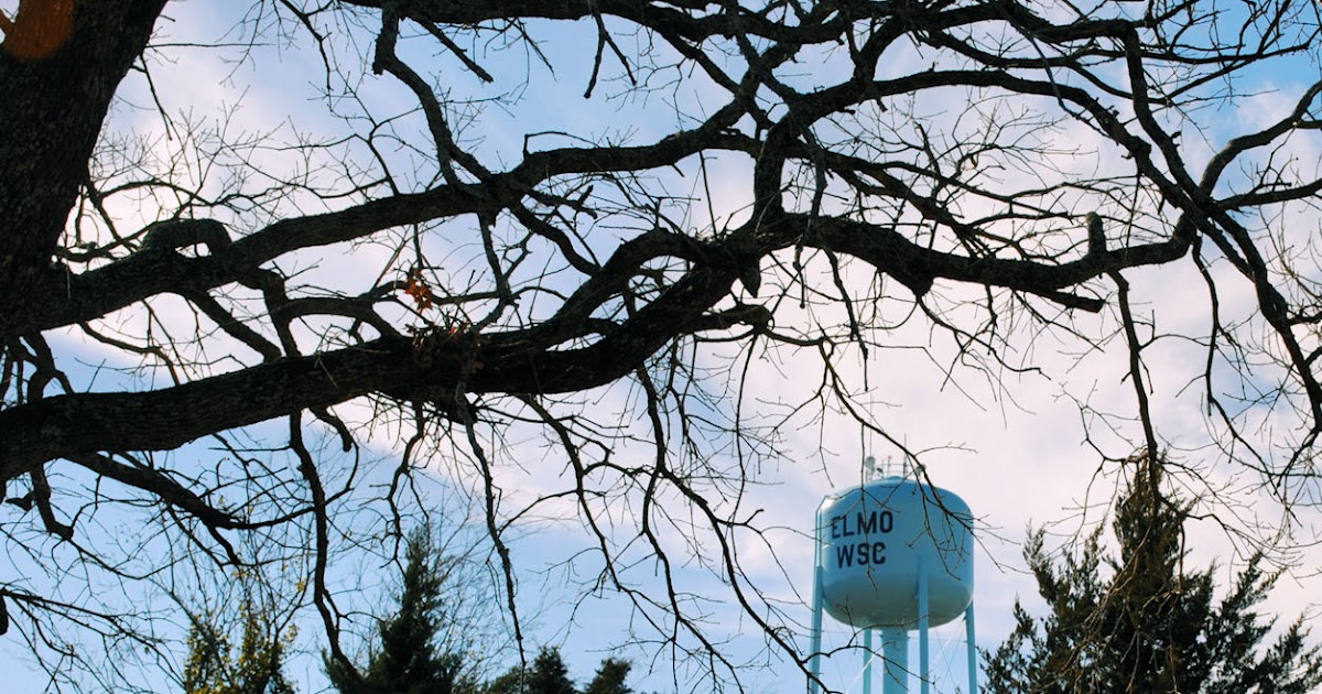 Terrell Texas Daily Photo: elmo water tower
