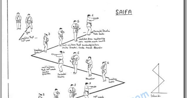 SAIFA GOJU-RYU|KarateYon