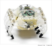 HEXBUG Central: The HexBug Crab is coming to a dark place near you!