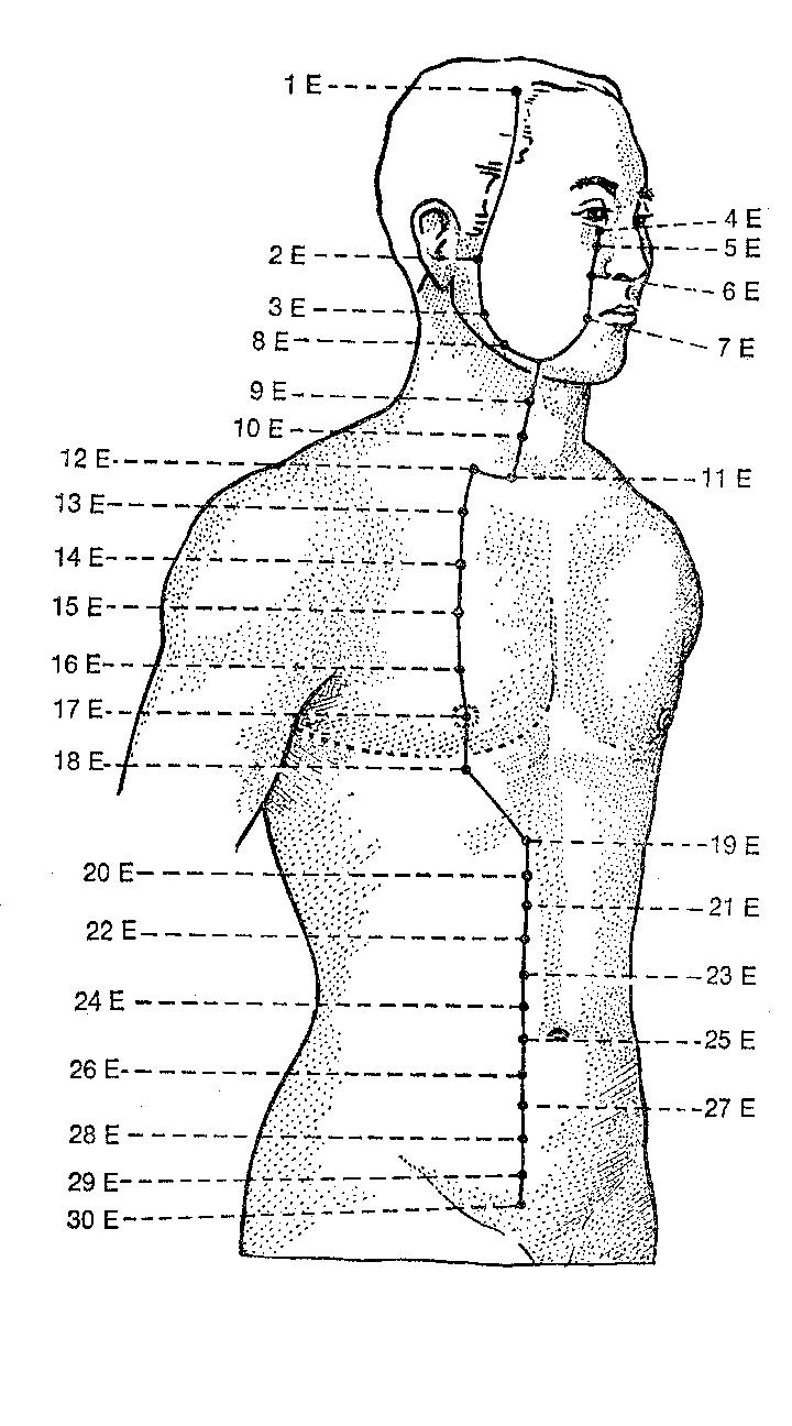 MTC: Meridianos de Acupunctura MTC: Meridianos de Acupunctura