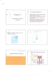 GCE O Level Biology: Chapter 17 Reproduction in Humans Notes