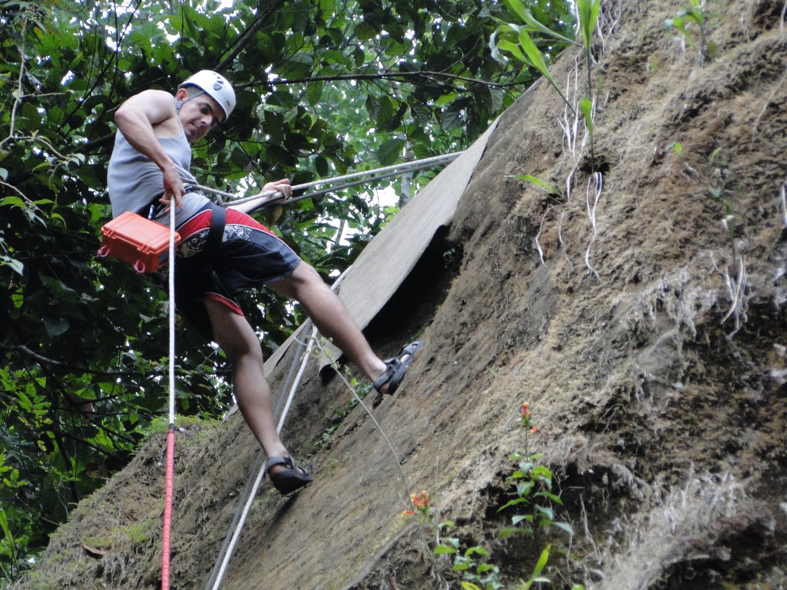 CRRTravel.com: How to Rappel CRRTravel.com: How to Rappel