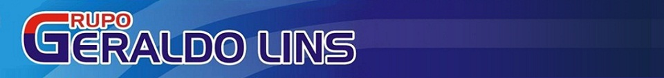 Grupo Geraldo Lins - Notícias: A Empresa