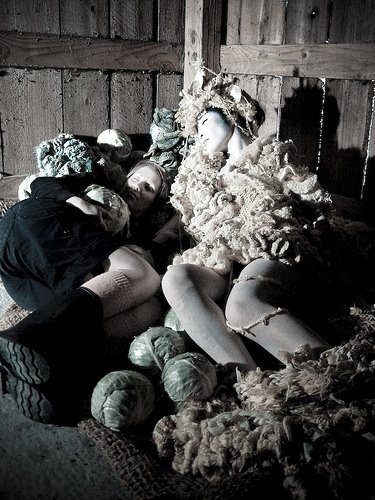 Silvering Path | Mandy Greer