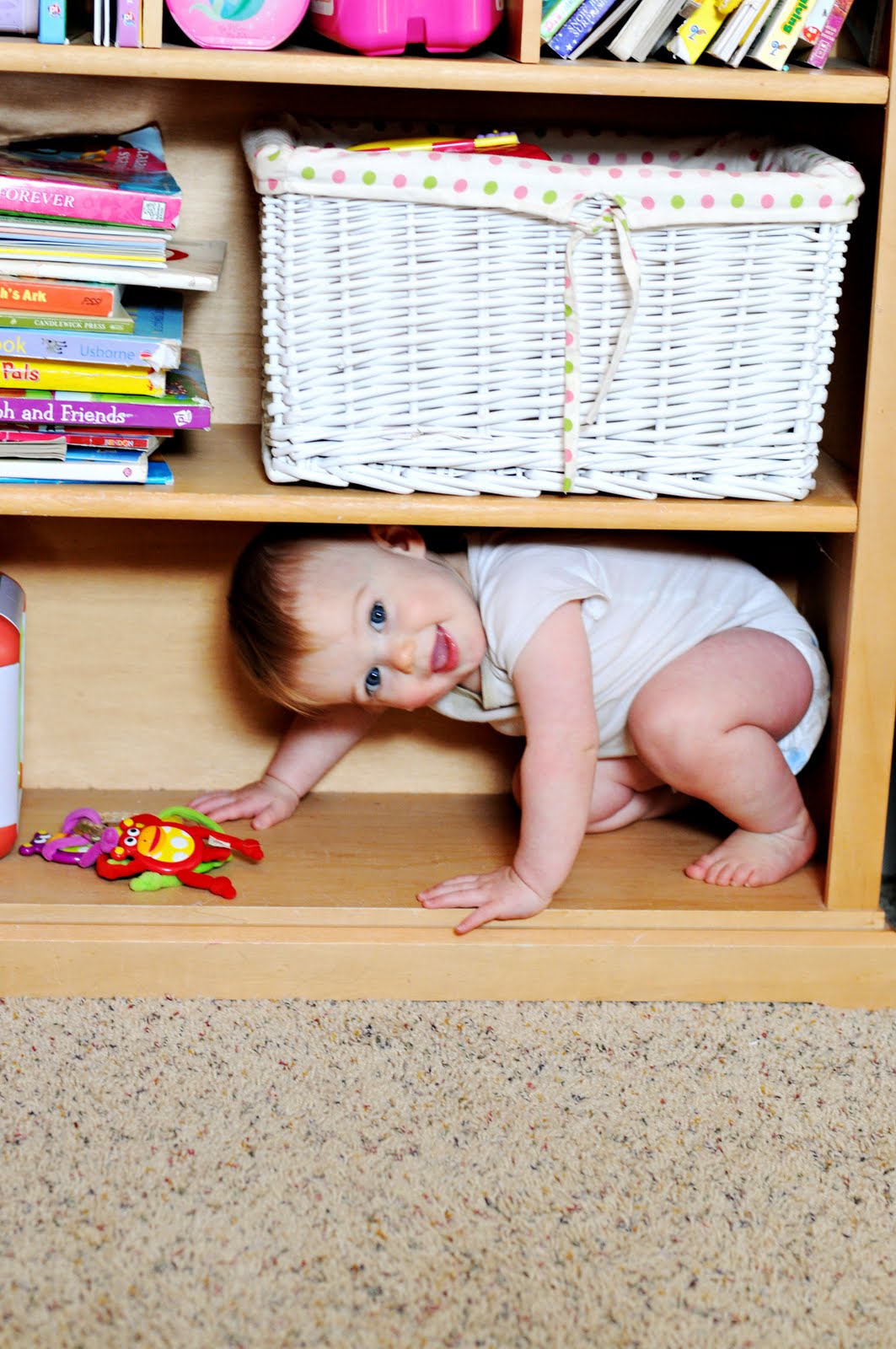 The Sanders Family: Fear of tight spaces...? The Sanders Family: Fear of tight spaces...?