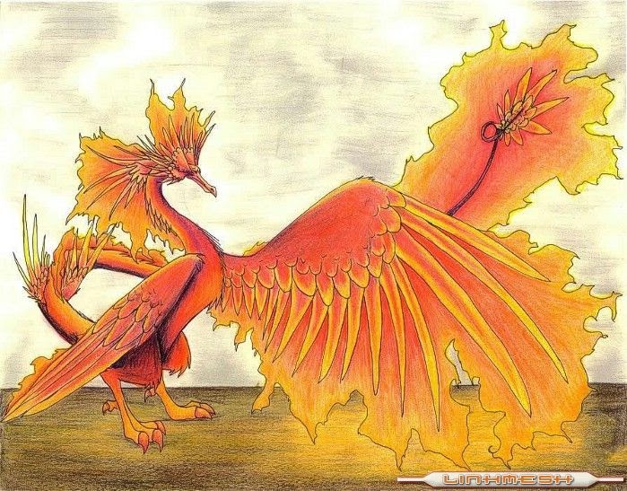 La Inmortalidad: El Ave de Fuego...