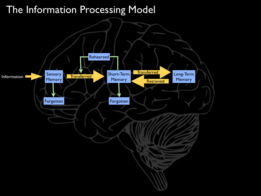Understanding The Meaning Of Life Learning And Memory understanding-the-meaning-of-life-learning-and-memory