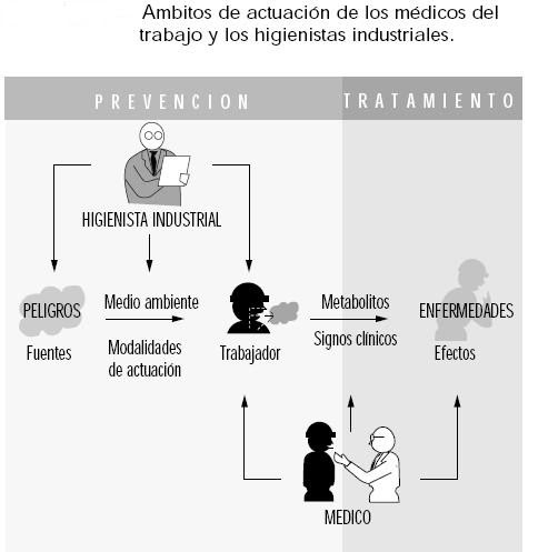 Enfoque Ocupacional en la Red.Salud y Seguridad Laboral: ¿Que es la Higiene Industrial?