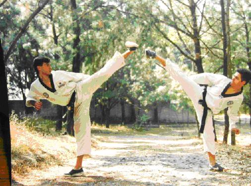 tae kwon do: historia del tae kwon do