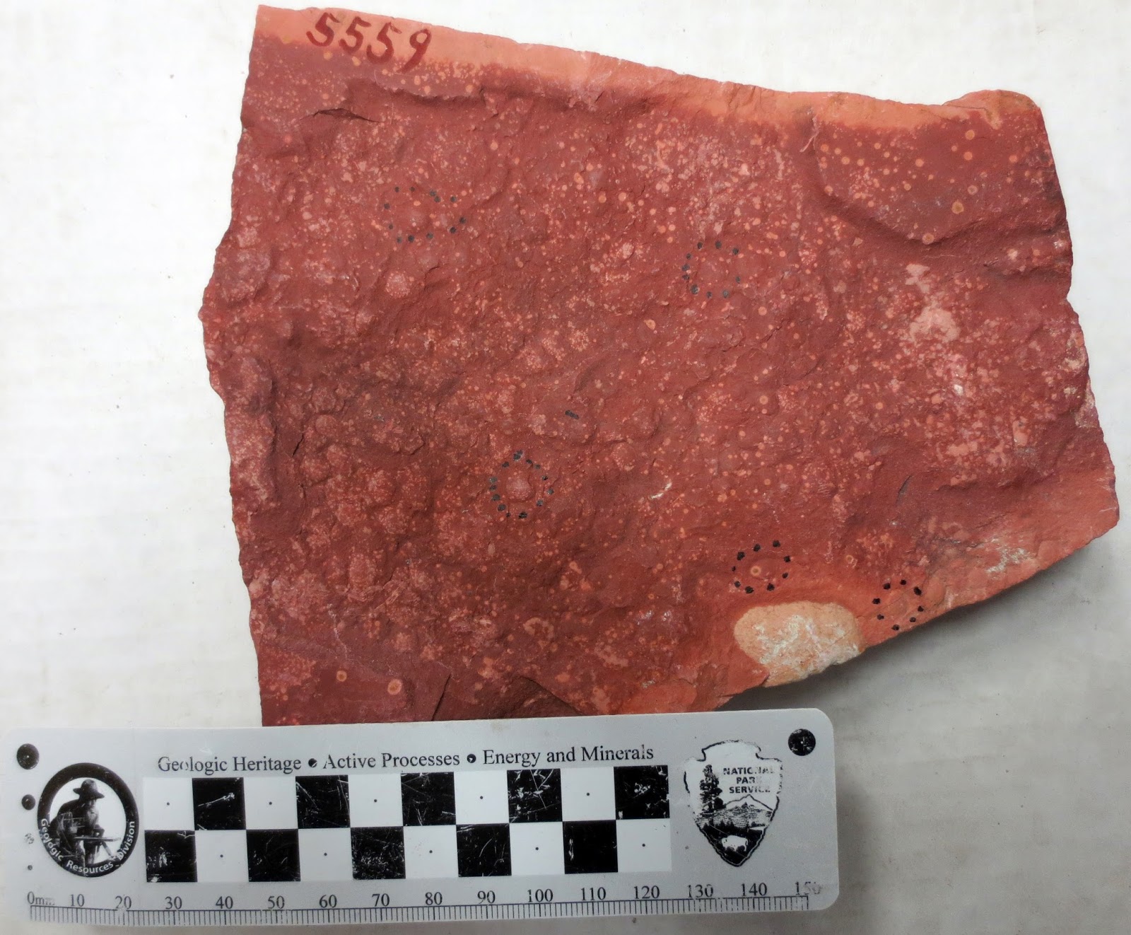 Equatorial Minnesota: Follow-up: Pipestone National Monument, Scenella ...