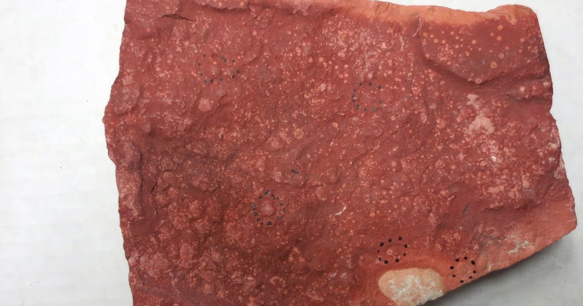 Equatorial Minnesota: Follow-up: Pipestone National Monument, Scenella ...