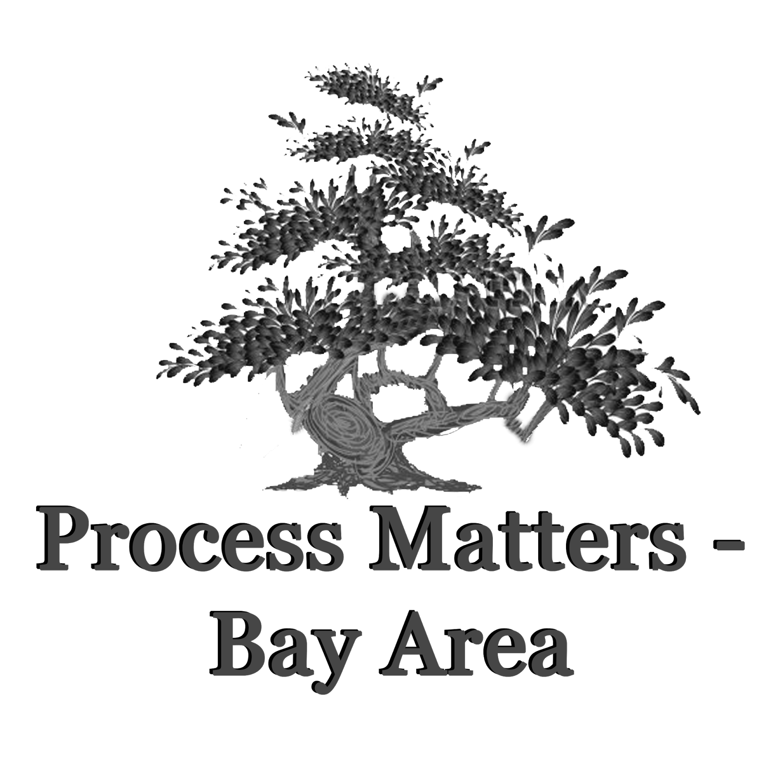 palash mazumdar: LOGO DESIGN