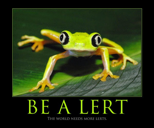 The 1709 Blog: New animal selfie ALERT!