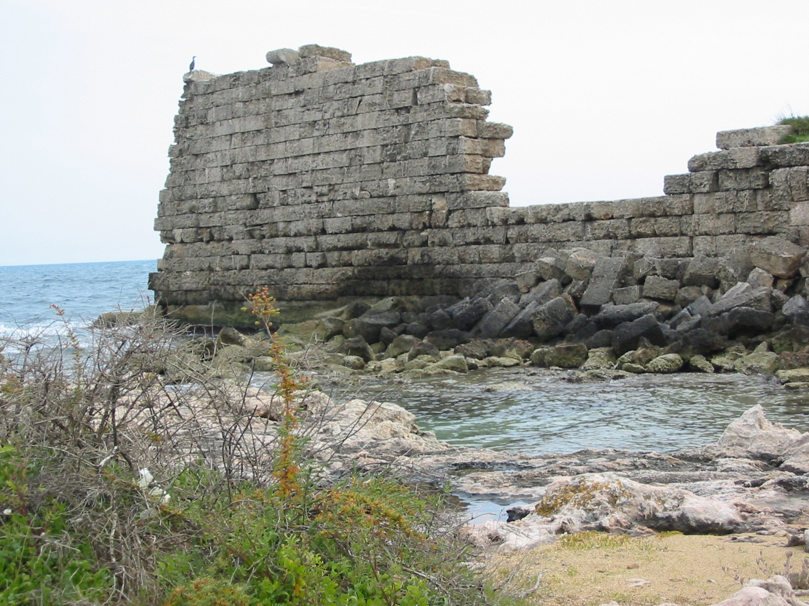 ARCHAIA: Agli albori della terra tra le acque