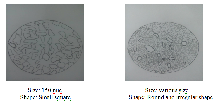 Technology Pharmaceutical: PRACTICAL 1 : (E) PARTICLE SIZE AND SHAPE ...