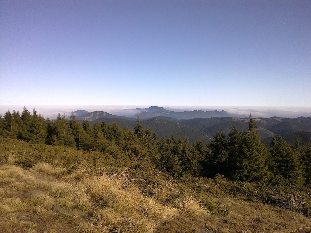 Silviu Bălan : Lacauti- Vrancei