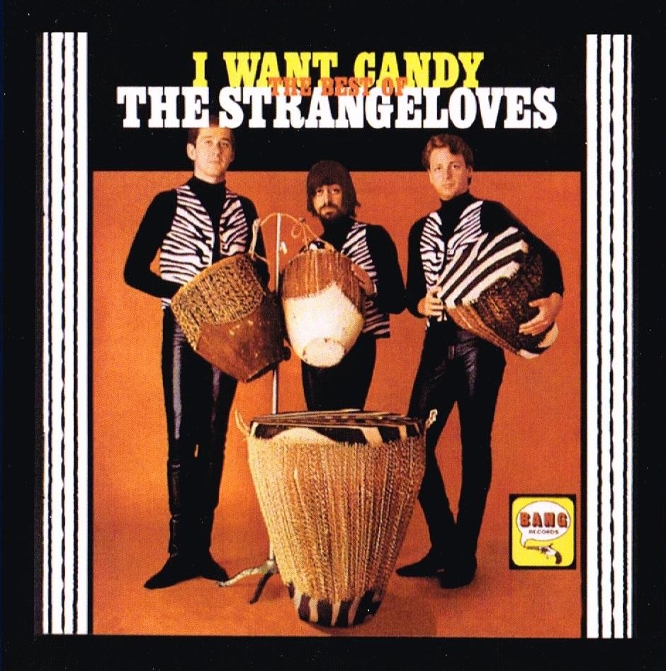 Pop On The Run: Garage/Psychedelic Pop Rock: The Strangeloves - I Want ...
