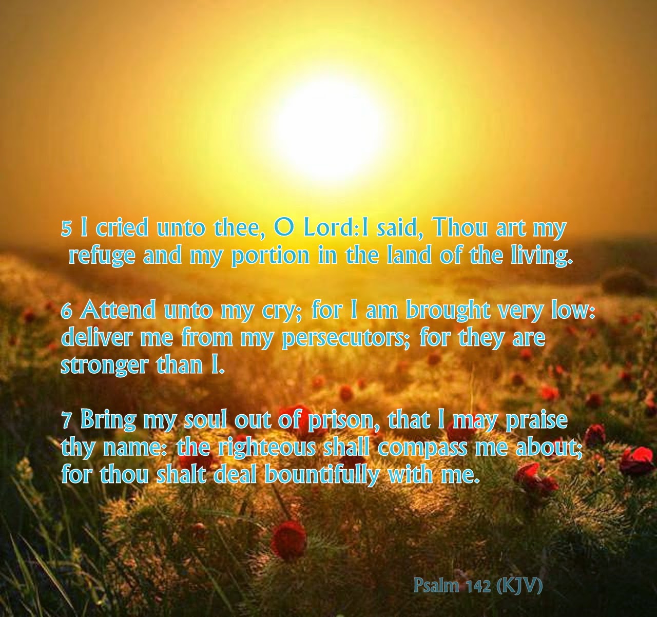 Red Pill Diaries: Psalm 142 (KJV) Red Pill Diaries: Psalm 142 (KJV)