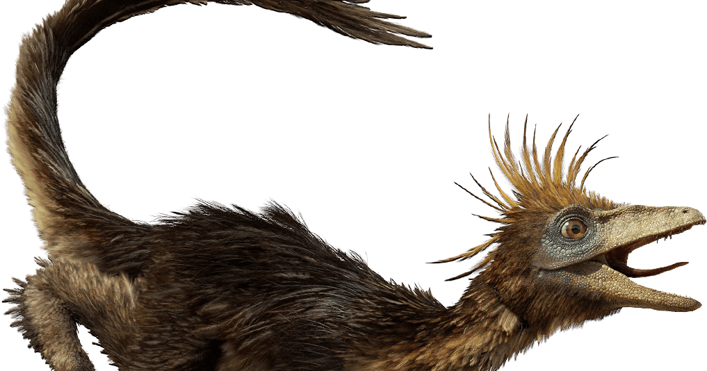 The Pendantic Paleogeek: Troodon