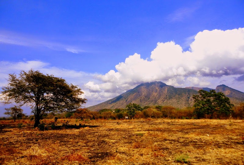 Nature in The World: Taman Nasional Baluran, Jawa Timur