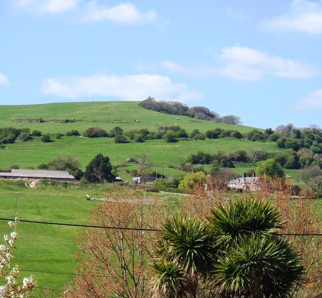 Lin's Isle of Wight Walking Blog: Walk 6 Ventnor to Lower Hyde - 5.3 miles