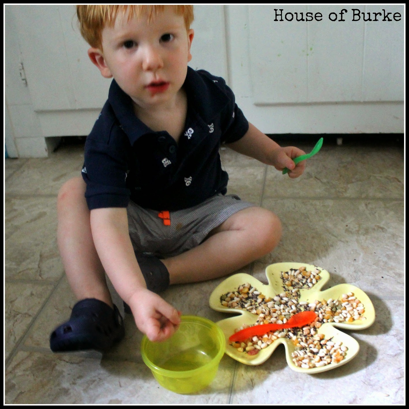House of Burke: Exploring Seeds with Toddlers