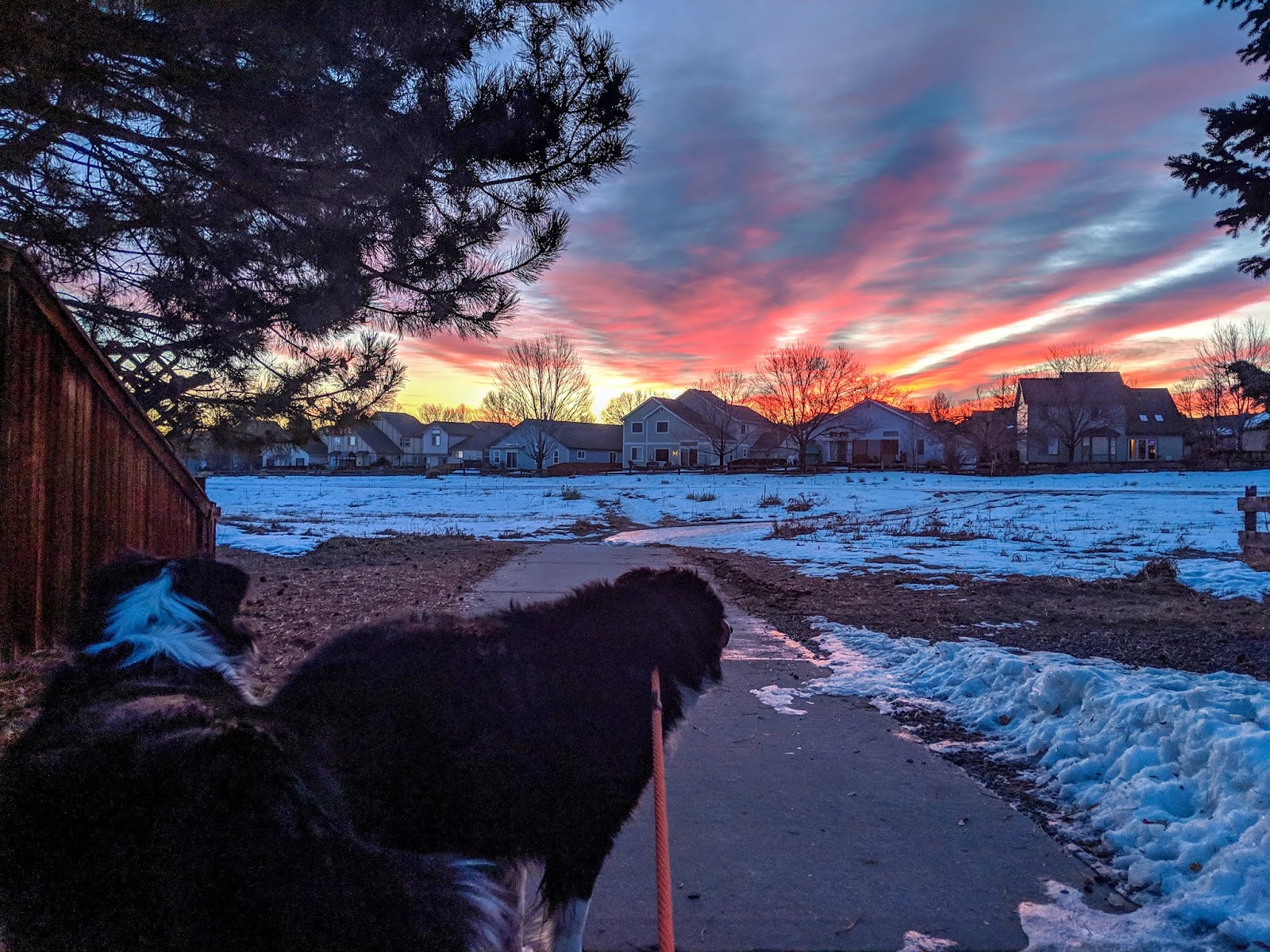 περιπλάνηση: Marvelous First Monday of February