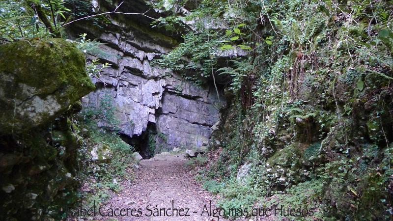 ALGO MÁS QUE HUESOS: CUEVA DE EL PENDO (Camargo, Santander)