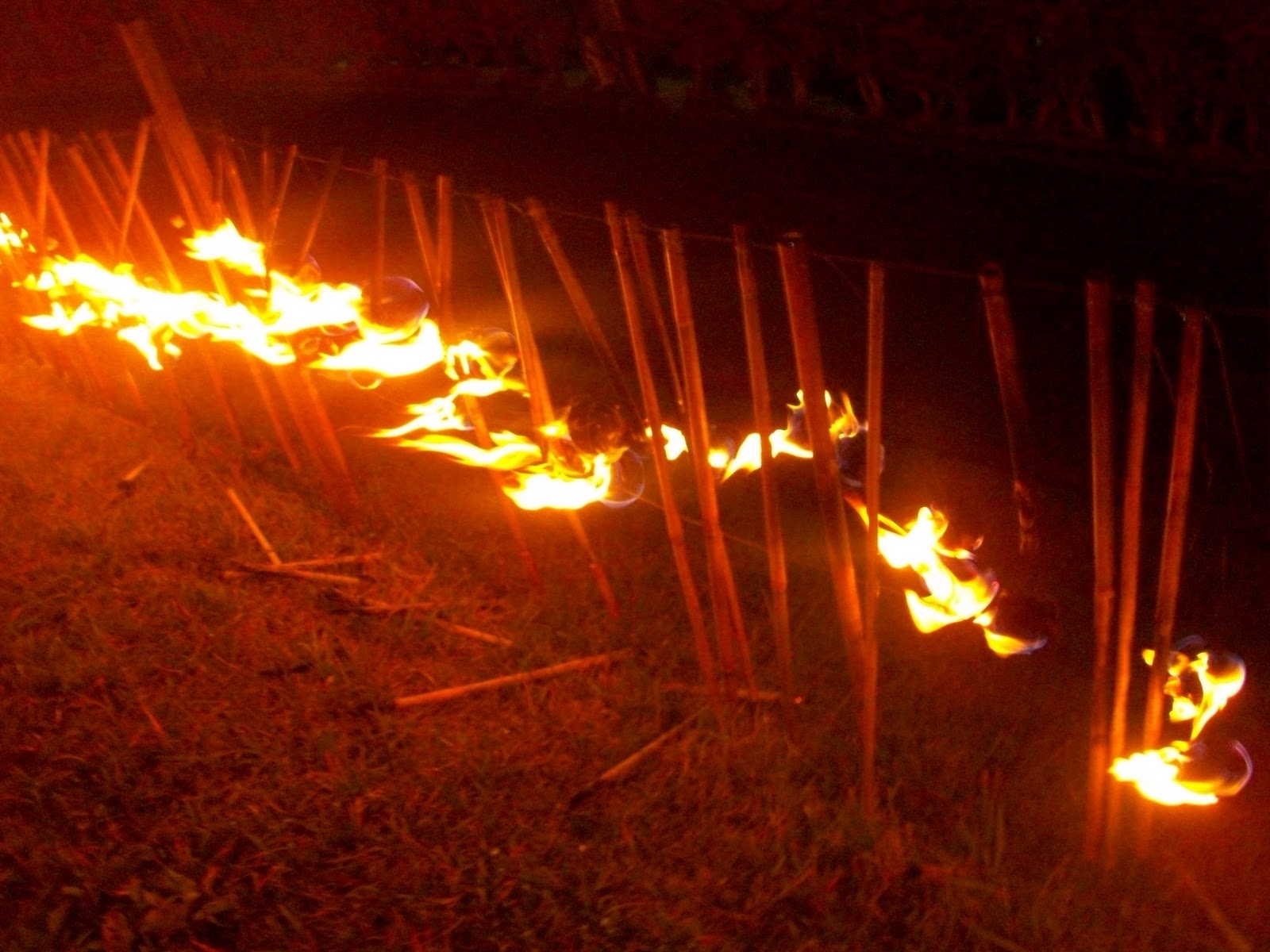 Nick Martin's Daily Life: Taimatsu-akashi Festival