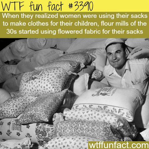 60 Crazy Facts To Truly Blow Your Mind! | Amazing WTF Facts