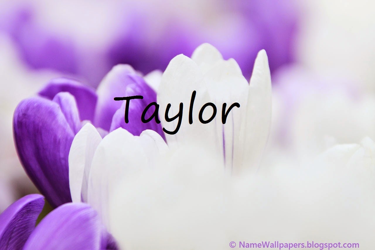 Taylor Name Wallpapers Taylor ~ Name Wallpaper Urdu Name Meaning Name ...