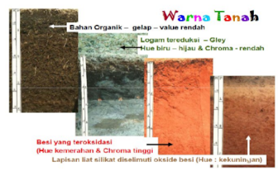 Penjelasan tentang Sifat Fisis dan Marfologi Tanah | Ilmu Sains