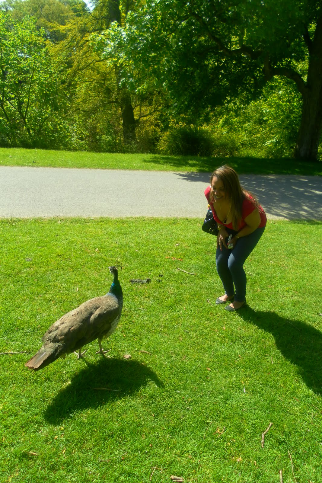 Laura's Life List!: My trip to Welshpool, WALES!