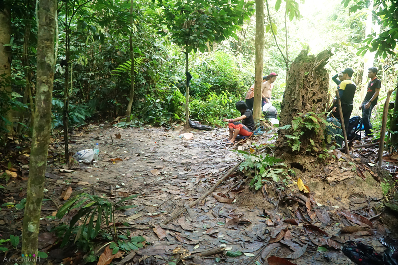 Trans Naning, Puncak 705, Gunung Tampin ---