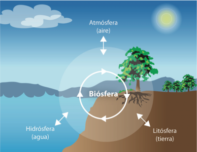 A ESTUDIAR!!: B I O S F E R A