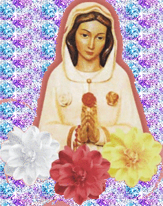 Apostolado Mariano: VIRGEN ROSA MÍSTICA