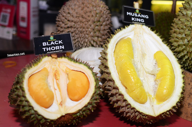 Isaactan.net: A Durian Feast of Musang King and Black Thorn Durians ...