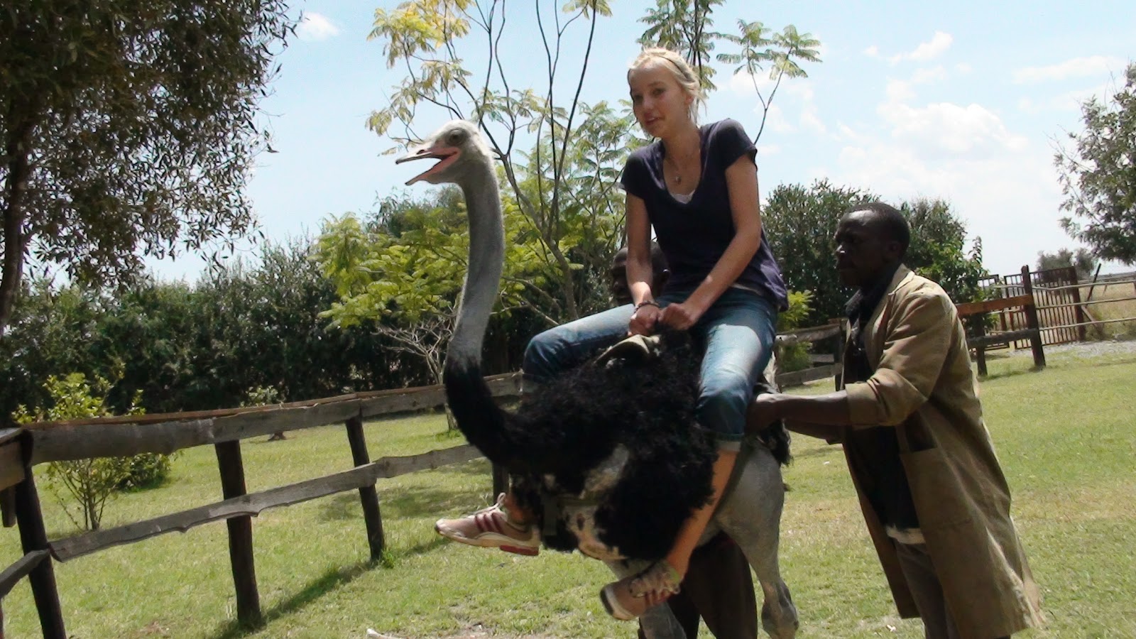 SMITH FAM NEWS: Ostrich Riding