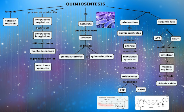 Biología III: Mapa conceptual 4: Quimiosintesis