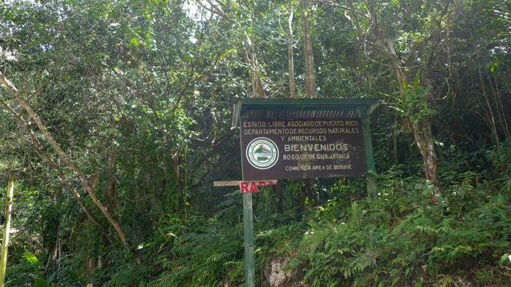 The Kruse Chronicles Continue in New Mexico: The Trails of the ...