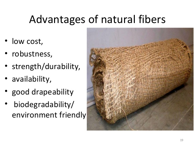What are the advantages and disadvantages of natural fiber? - TE