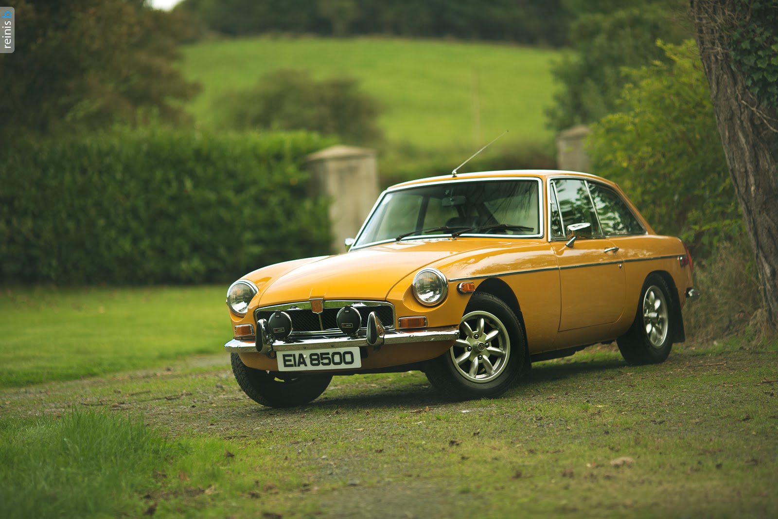 Reinis Babrovskis Photography: MG MGB GT
