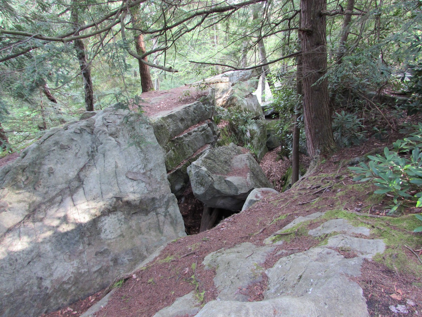 Bilger's Rocks: A Labyrinth of Boulders, Clearfield County ...